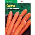 Burpee Carrot Nantes Half Long Seed 57141