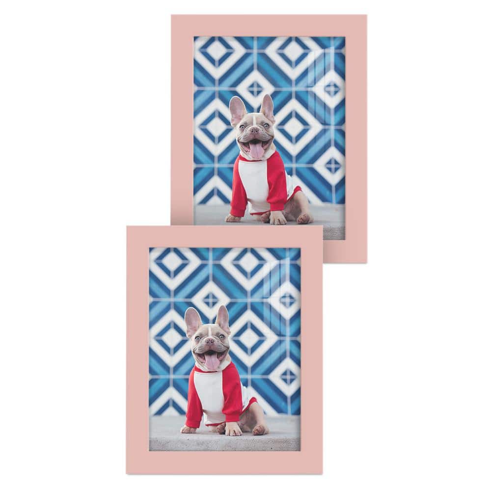 Wexford Home Modern 6 in. x 8 in. Pink Picture Frame (Set of 2) WF012E ...