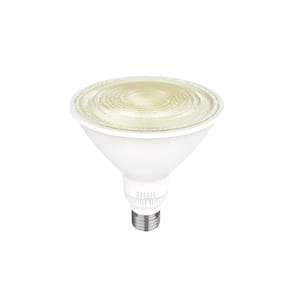 EcoSmart 150-Watt Equivalent PAR38 Dimmable CEC Dusk to Dawn LED Spot ...