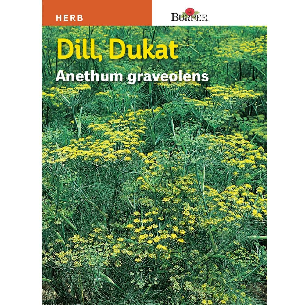 Burpee Herb Dill Dukat Seed 65564 - The Home Depot