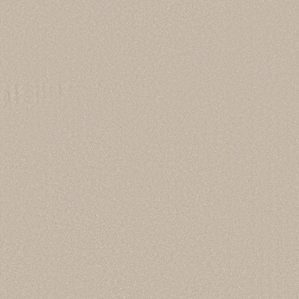 Reviews for Lifeproof Park Royal II Stucco Beige 52 oz. Nylon Texture Carpet - Installation ...