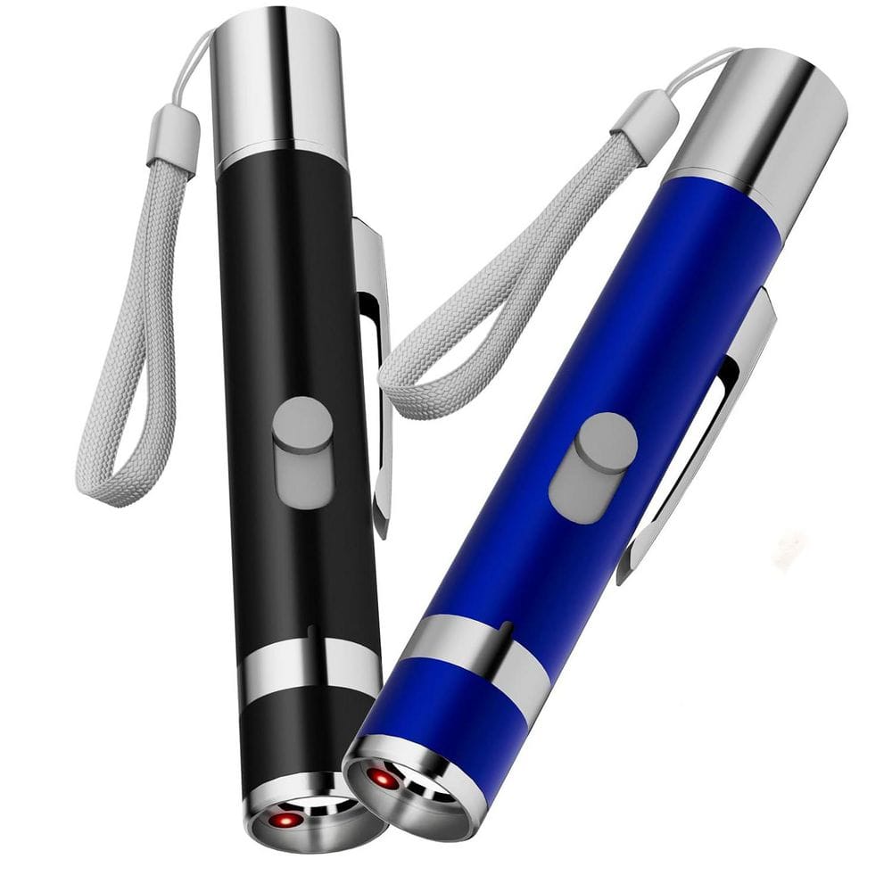 Lukyamzn Interactive Rechargeable Cat Dog Pet Screen Pointer Toy 2 Pack ...