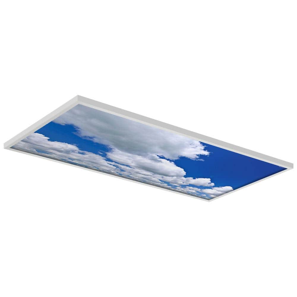 OCTO LIGHTS 005 2 ft. x 4 ft. Fluorescent Light Filters CLD-005-2x4 ...