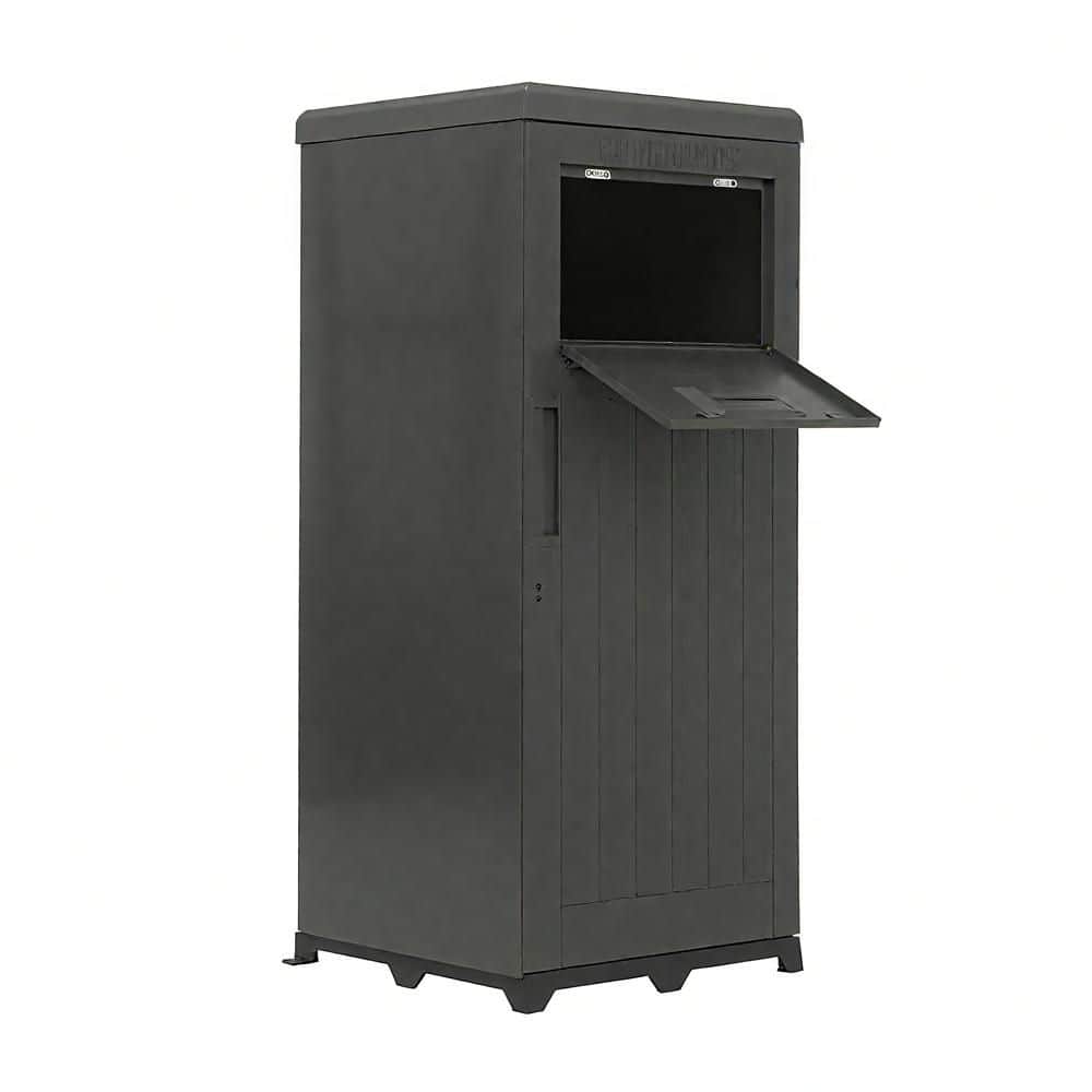 Package Delivery Box 20.7 in. W x 21.9 in. D x 48.5 in. H Black Metal ...