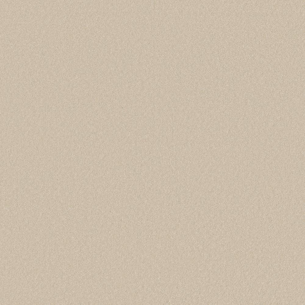 Lifeproof Park Royal II - Color Craft Paper Beige 52 oz. Nylon Texture ...