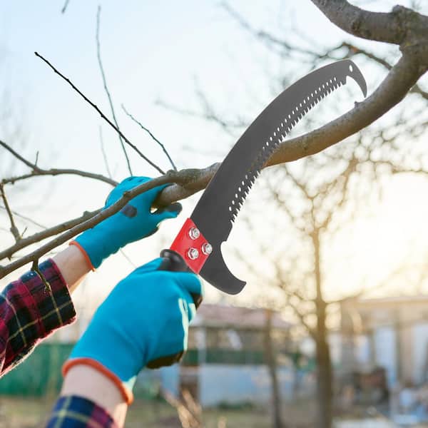Home depot tree cutters store