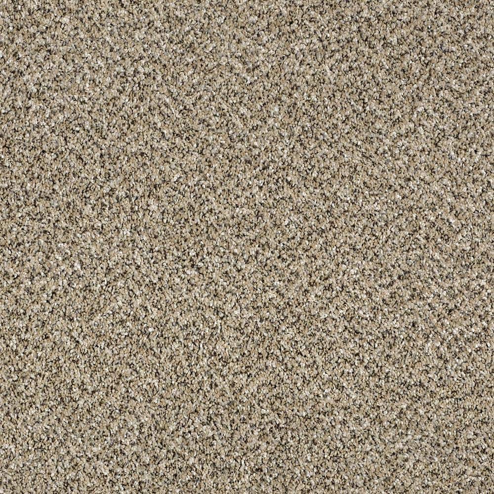 Home Decorators Collection 8 in. x 8 in. Twist Carpet Sample ...