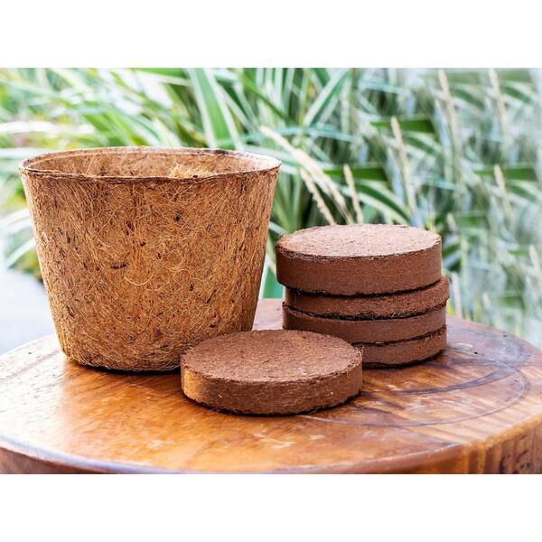 Coir