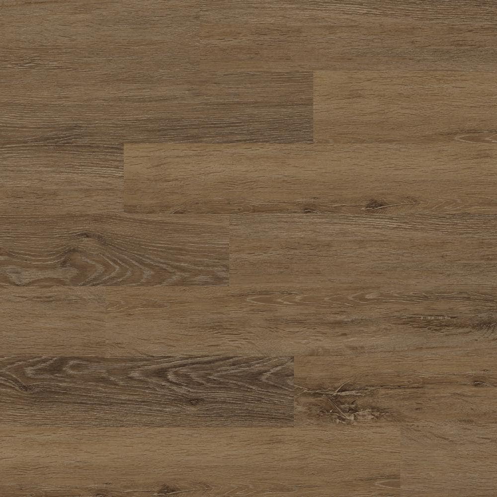 Home Decorators Collection Willowbrook Grove Oak 12 MIL x 7.1 in. W x ...