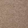 TrafficMaster 8 in. x 8 in. Texture Carpet Sample - Alpine - Color ...