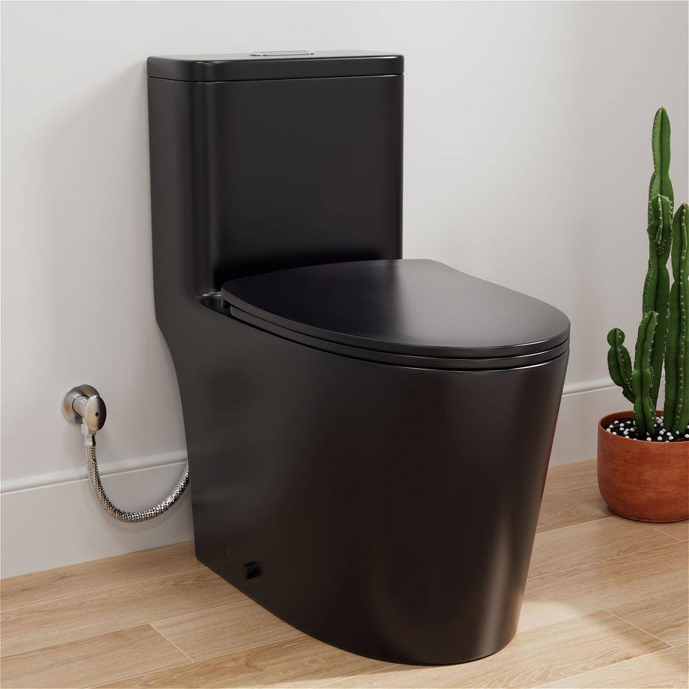 Black Toilet Home Depot