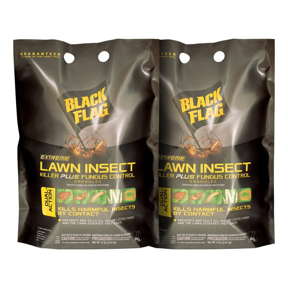 Black Flag Extreme 2 Lb Lawn Insect Killer Plus Fungus Control Granules 2 Pack Hg 11212