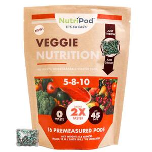 Wekiva Foliage Longevity Spinach - 4 Live Starter Plants - Gynura ...