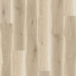 Home Decorators Collection Take Home Sample - Crater Lake Oak Click ...