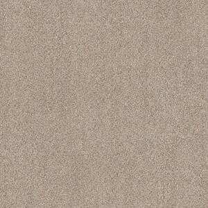 Lifeproof 8 in. x 8 in. Texture Carpet Sample - Sea Pines -Color ...