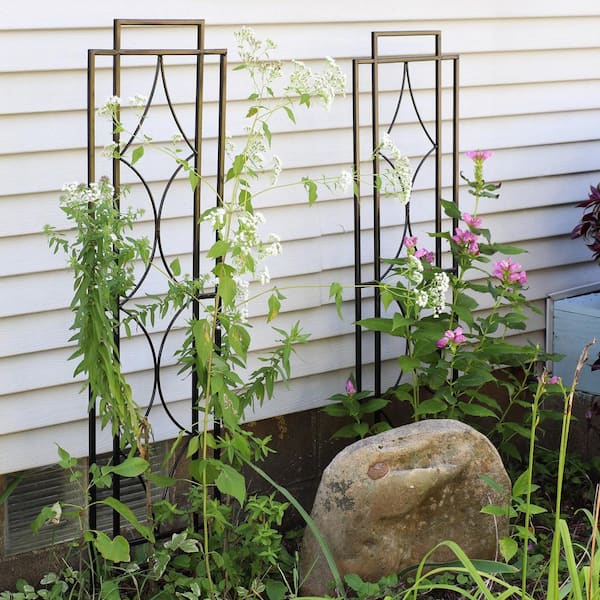 Steel Trellis Design Ideas Arch Trellis Ideas For The Kitchen Garden