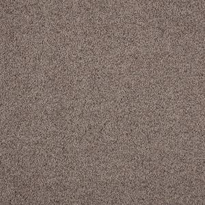 Mohawk 8 in. x 8 in. Texture Carpet Sample - Playful Moments II (M ...