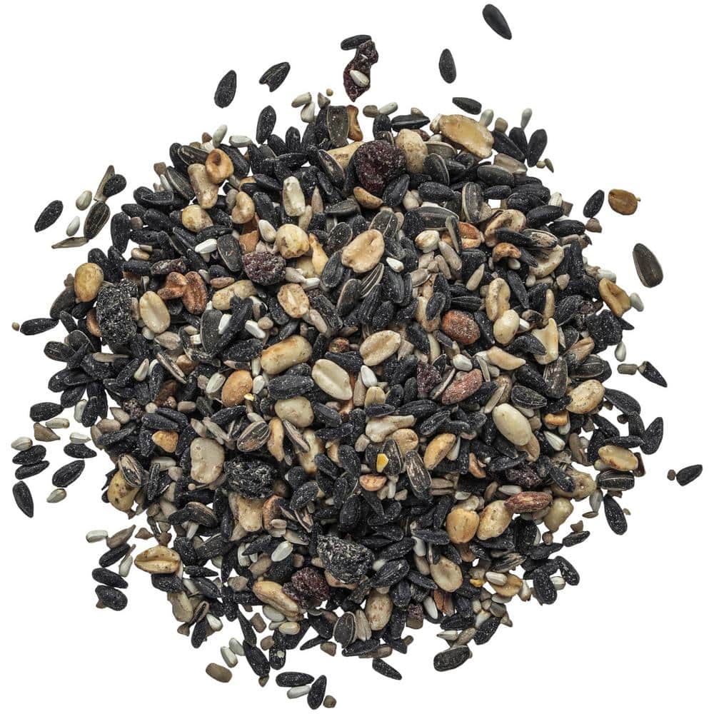 BIRDS choice Berry Sweet Seed Wild Bird Food BS-BS - The Home Depot