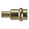 Apollo 1/2 in. Brass PEX-B Barb x 1/2 in. Press Adapter APXPR1212 - The Home Depot
