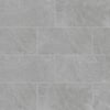 Bedrosians Shandar Rectangular 12 in. x 24 in. Matte Florence Grey ...
