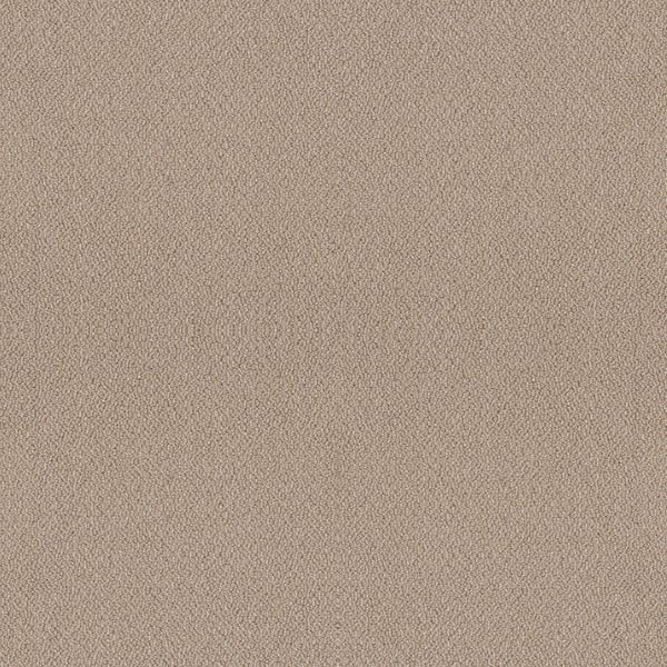 Home Decorators Collection 8 in x 8 in. Loop Carpet Sample - Tower Road ...