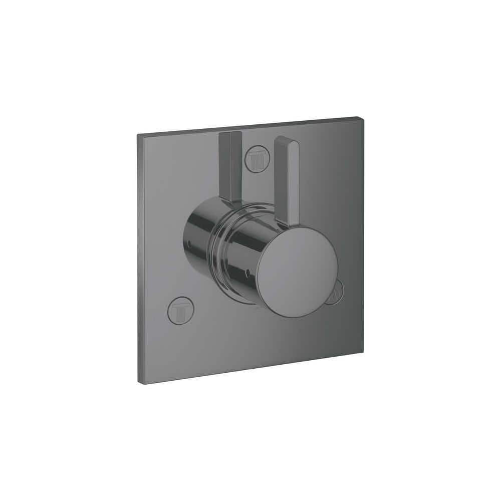 Hansgrohe Ecostat Wall Mount Shower Trim Kit in Brushed Black Chrome ...