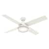 Hunter Dempsey 52 in. LED Indoor/Outdoor Fresh White Ceiling Fan with ...