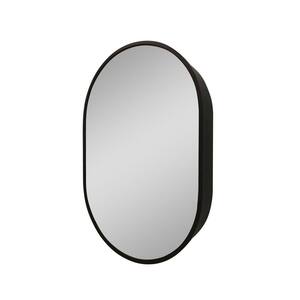Cesicia Black 24 in. W x 36 in. H Oval Surface Mount Medicine Cabinet ...