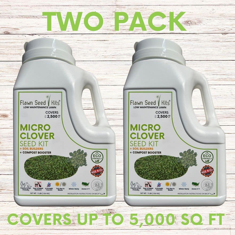 Flawn Seed Kits Micro Clover Alternative Grass Seed, Org Coated, Eco ...