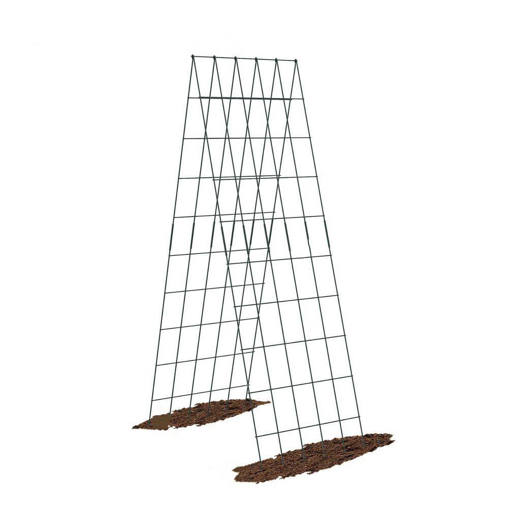 FAWEY TRED INC 64 in. Foldable Cucumber Trellis A-Frame Cucumber ...