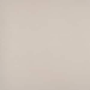 EMSER TILE 23.62 in. x 47.24 in. Citizen Civilian Matte Porcelain Floor ...