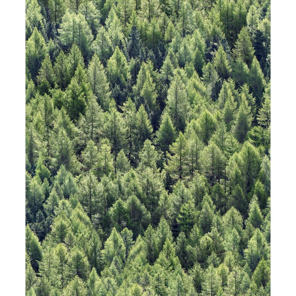 Woods and Wicker Collection Green Pine Forest Matte Finish Vinyl on Non ...