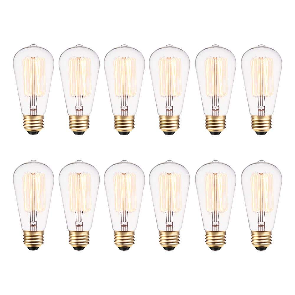 Globe Electric 40 Watt ST19 Dimmable Cage Filament Vintage Edison ...
