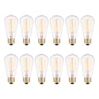 Feit Electric 40-Watt A19 Dimmable Incandescent Amber Glass Vintage Edison Light Bulb with ...