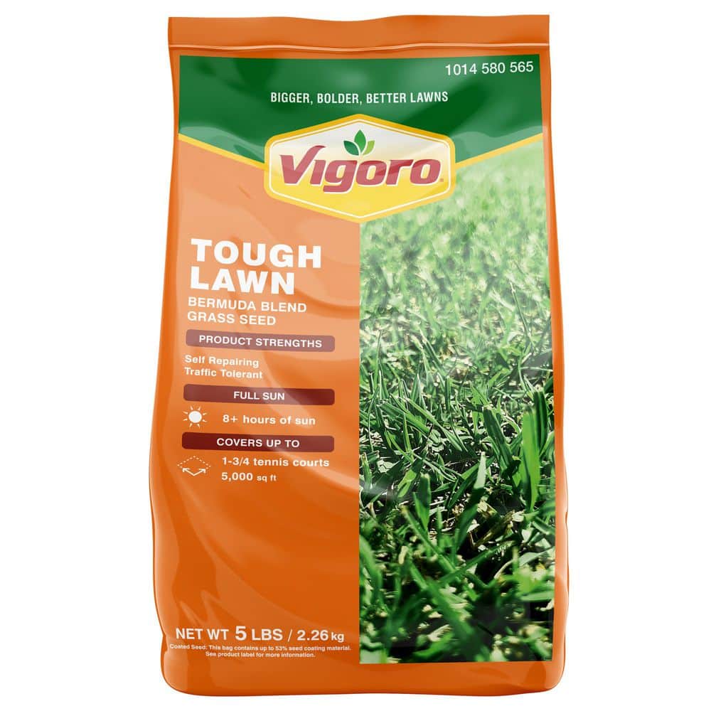 Reviews for Vigoro 5 lbs. Bermuda Blend Grass Seed | Pg 4 - The Home Depot