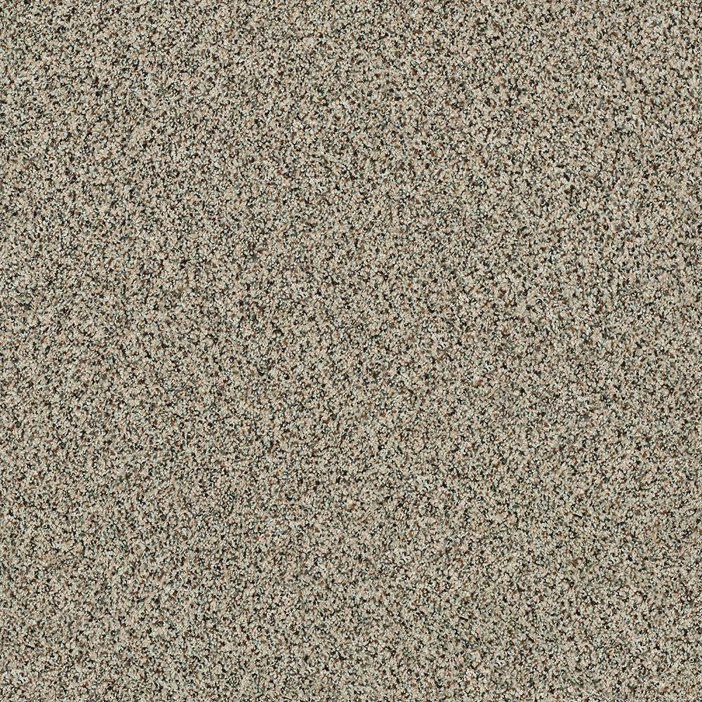 Lifeproof 8 in. x 8 in. Texture Carpet Sample - Madeline II - Color ...