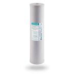 AQUASURE Fortitude 5-Mic Carbon Block Whole House Water Filter ...