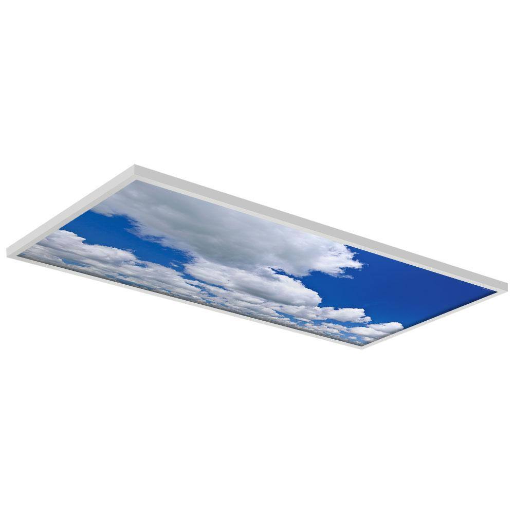 OCTO LIGHTS 005 2 ft. x 4 ft. Fluorescent Light Filters CLD-005-2x4 ...
