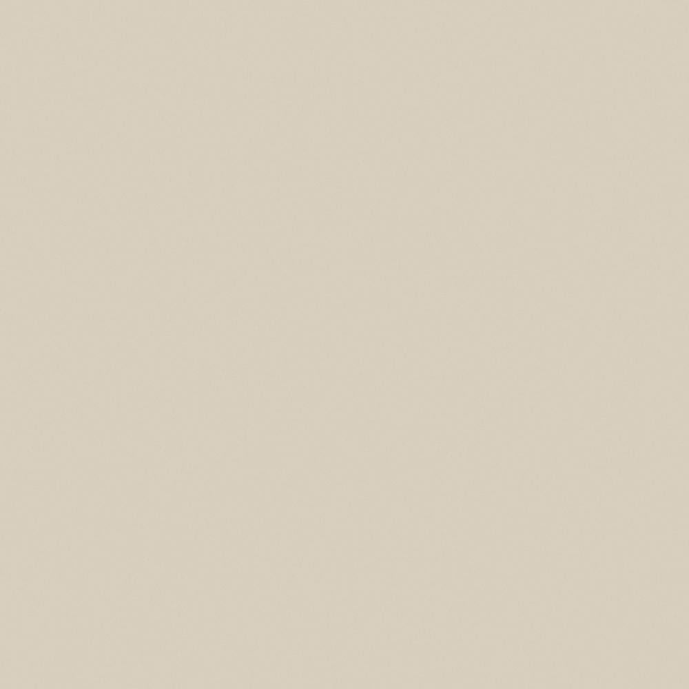 Wilsonart 5 ft. x 8 ft. Laminate Sheet in White Sand with Matte Finish ...