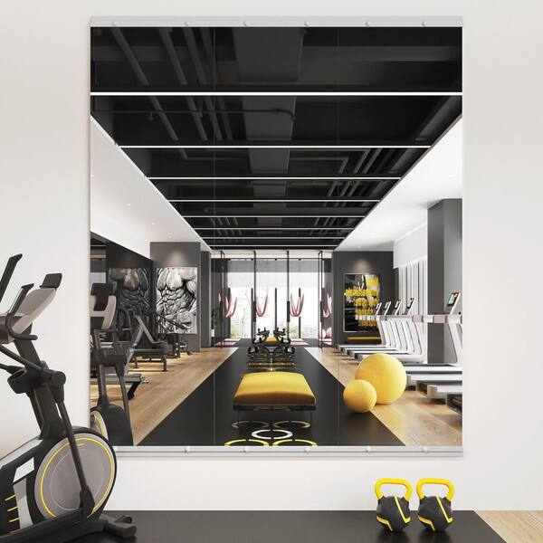 Spigel Modern 16 in. W x 56 in. H Frameless Wall Mirror HD Tempered ...