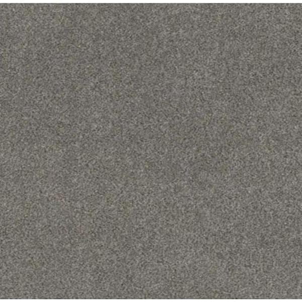Home Decorators Collection 8 in x 8 in. Texture Carpet Sample ...
