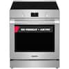 Frigidaire Professional 30 in. 5 Element Slide-In Induction Range in ...