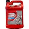 ANIMAL STOPPER Squirrel Stopper Animal Repellent, Gallon Ready-to-Use ...