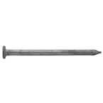 PRO-FIT 2-1/2 in. (8D) Hot Dipped Galvanized Smooth Common Nail 1 lb ...