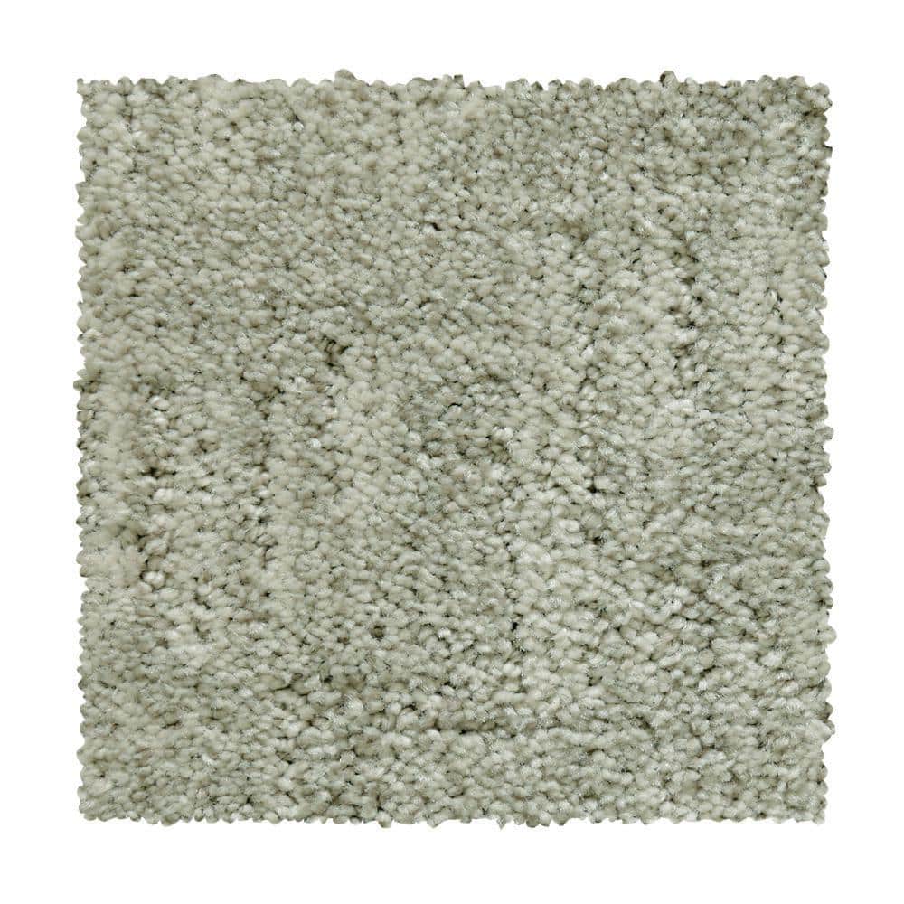 Home Decorators Collection 8 in. x 8 in. Pattern Carpet Sample - Corry ...