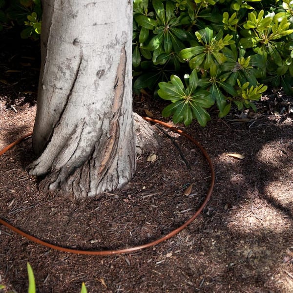 DIG 1/4 in. Emitter Tubing 100 ft. W/6 in. Spacing in Brown SHB106 ...