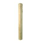 6 in. x 6 in. x 8 ft. Pressure-Treated Round Post Pole 938029 - The ...