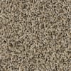 TrafficMaster 8 in. x 8 in. Texture Carpet Sample - Fireworks II -Color ...