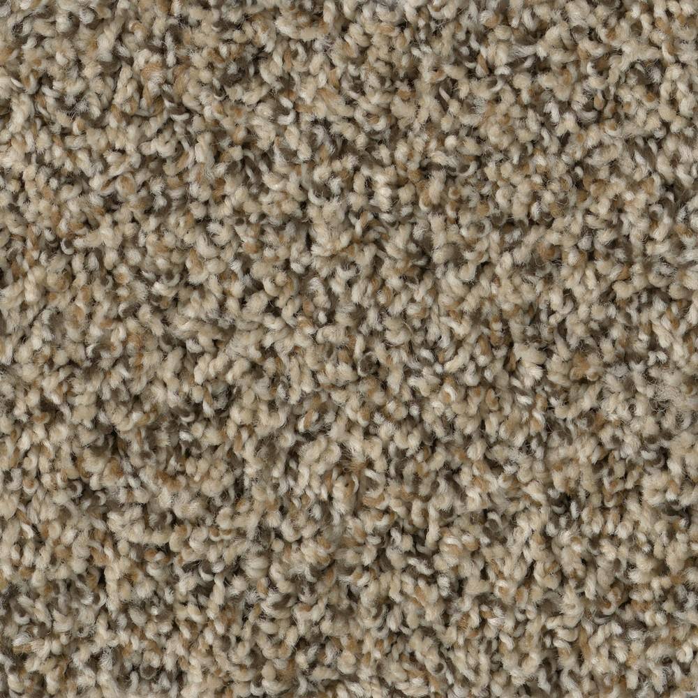 TrafficMaster 8 in. x 8 in. Texture Carpet Sample - Fireworks II -Color ...