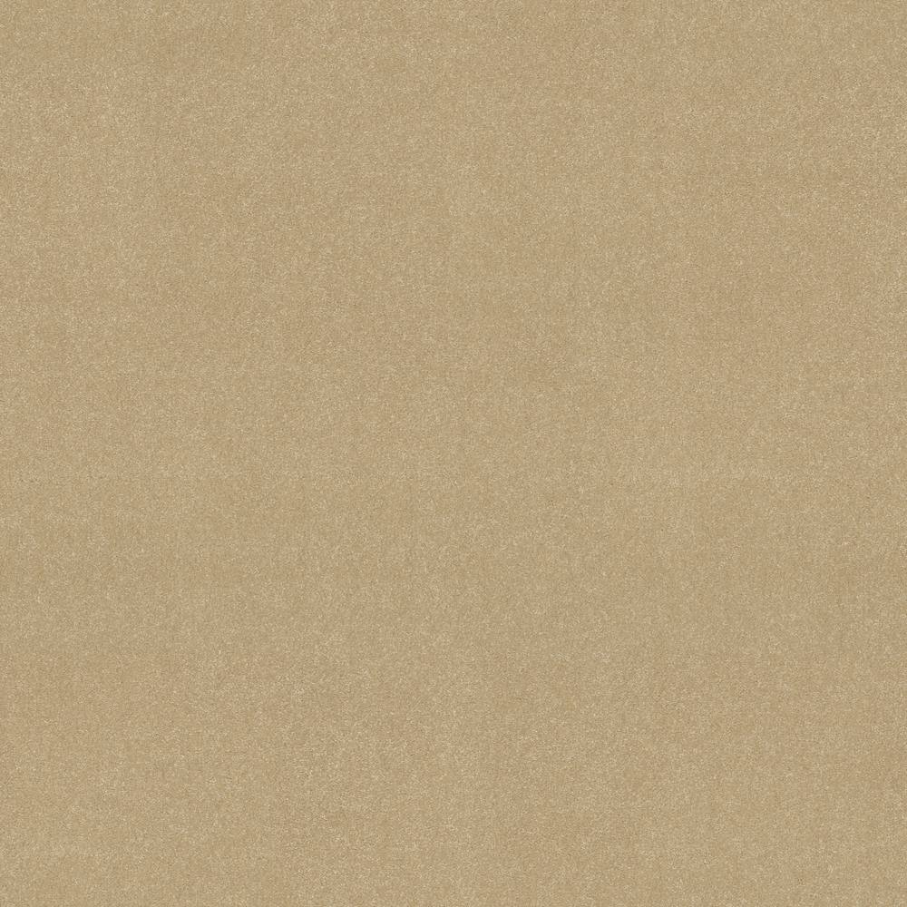 Lifeproof 8 in. x 8 in. Texture Carpet Sample - Park Royal -Color ...